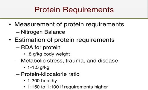 Plan your Diet - EDIETETICS